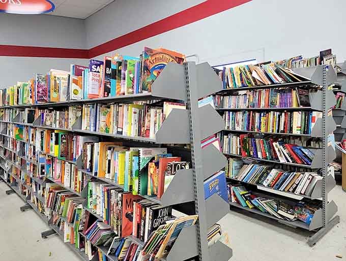 Literary adventures await on these shelves, from bestsellers to forgotten gems you didn't know you needed.