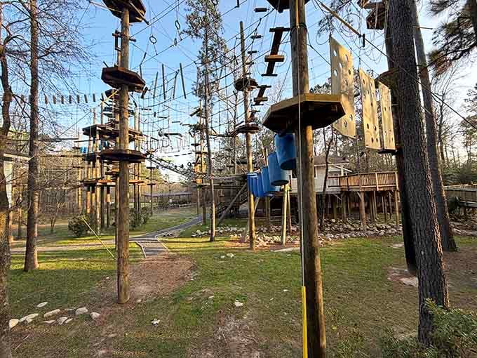 Golden hour light bathes the obstacle courses in warmth, making even the challenging elements look downright inviting.