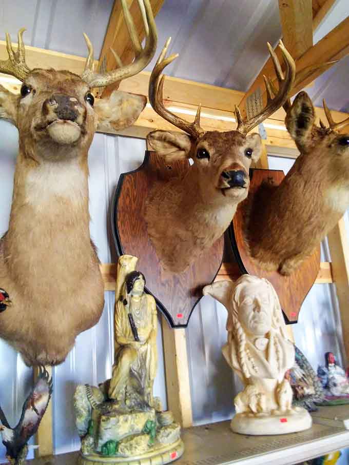 These deer look more surprised to be here than you are to find them at a flea market.