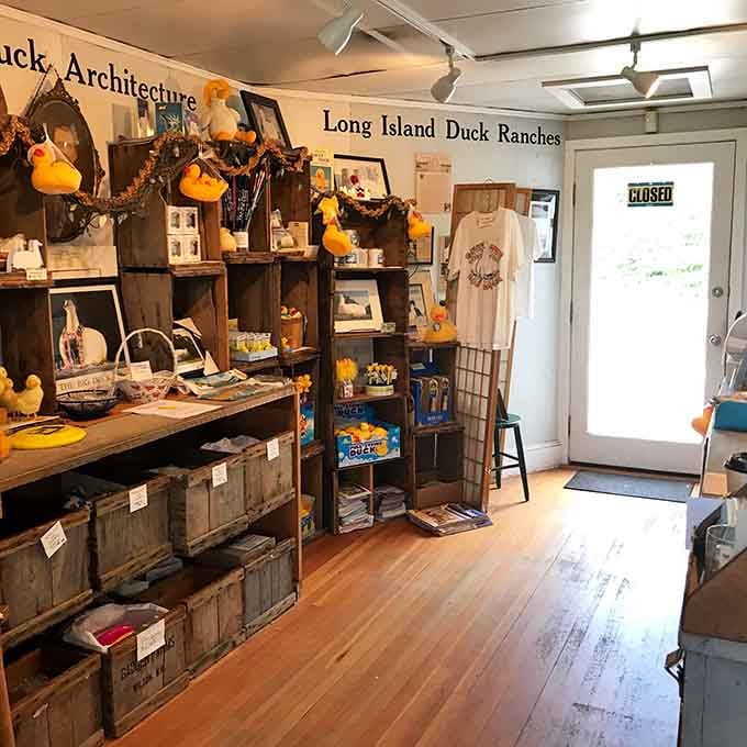 Every corner reveals another delightful duck discovery, from vintage photos to whimsical decorations celebrating Long Island's poultry past.