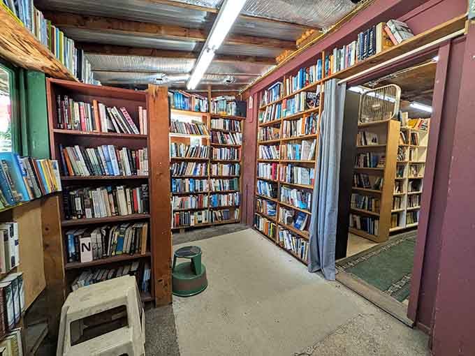 Floor-to-ceiling shelves create literary canyons where time loses all meaning and your reading list grows exponentially.