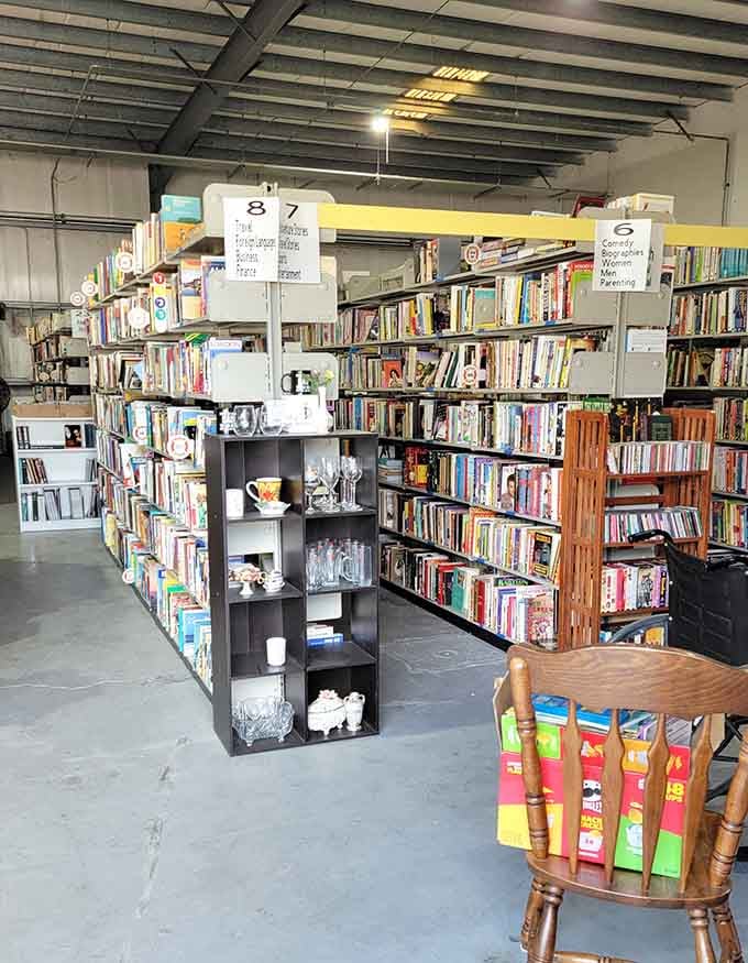 Books stacked so high they're practically defying gravity, organized with the precision of someone who truly understands chaos theory.