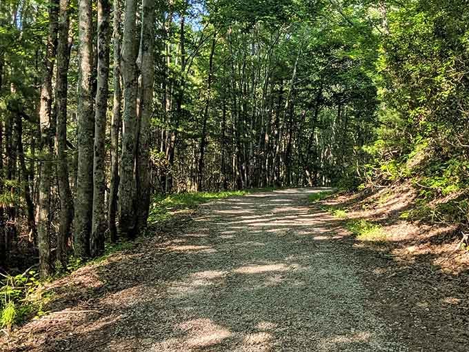 This peaceful forest trail is your gateway to one of Virginia's most spectacular geological wonders.