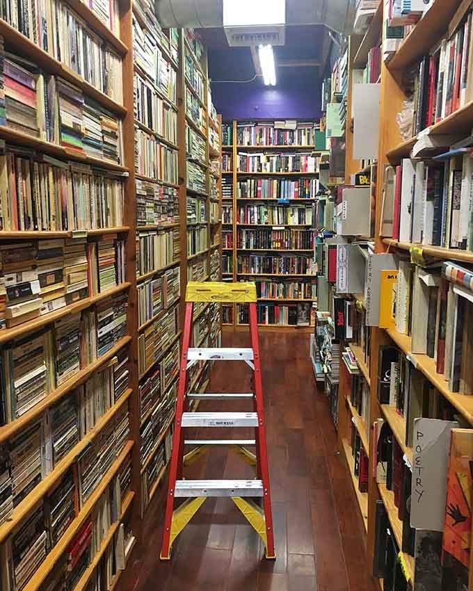 The ladder beckons like a siren call to bibliophiles everywhere, promising treasures above.