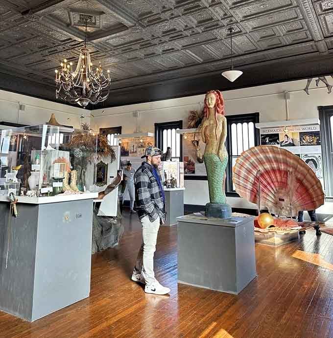 Chandeliers, tin ceilings, and a life-sized mermaid statue prove that sometimes the best museums are the ones nobody saw coming.