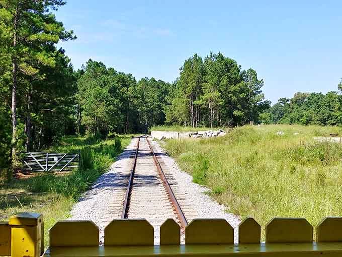 These tracks stretch toward pine forests like a scene from every great American road trip movie.