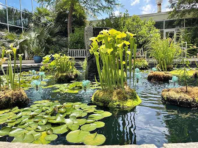 Lily pads and pitcher plants create a water garden so stunning, even Monet would grab his easel and paints.