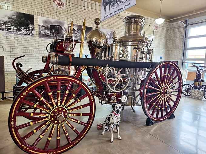 The ornate Rumsey Fire Pump sits like a mechanical work of art, all brass and burgundy beauty from a bygone era.