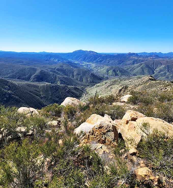 Mountains rolling into forever, the kind of view that makes you forget about your phone for five whole minutes.