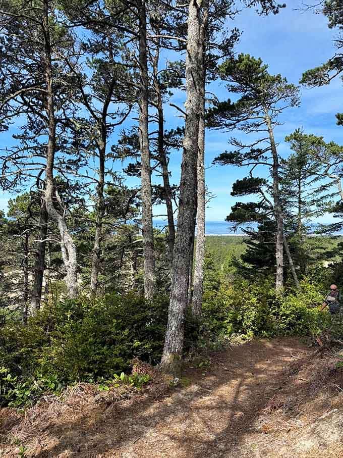 These towering sentinels have been standing guard here longer than any of us have been worrying about our problems.