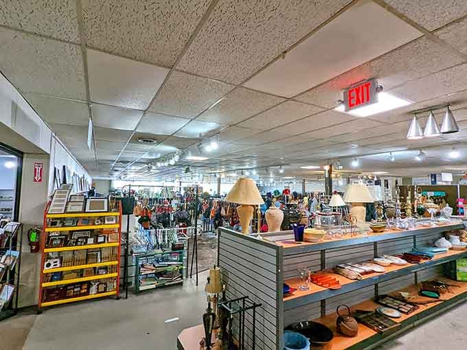 Track lighting illuminates every corner, proving that thrift shopping doesn't require a flashlight and prayers anymore.