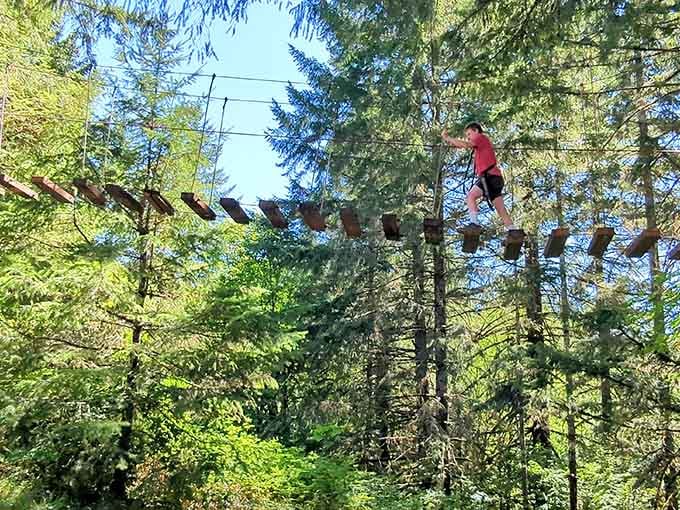 Suspended walkways connect tree to tree, offering views that squirrels have been hoarding for themselves all these years.