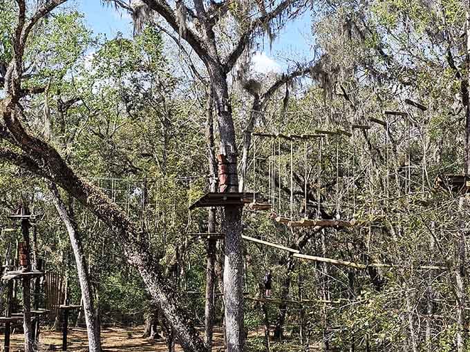 Spanish moss drapes the oaks like nature's own curtains, framing an obstacle course that'll wake up muscles you forgot existed.