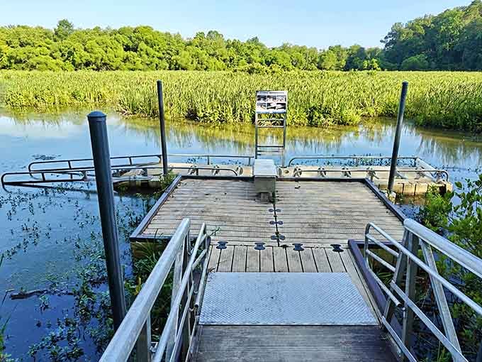 Your fishing headquarters awaits on this sturdy dock, complete with lily pads for natural ambiance.