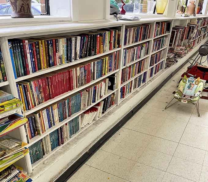 A library's worth of stories waiting on these shelves, minus the late fees and judgmental librarians.