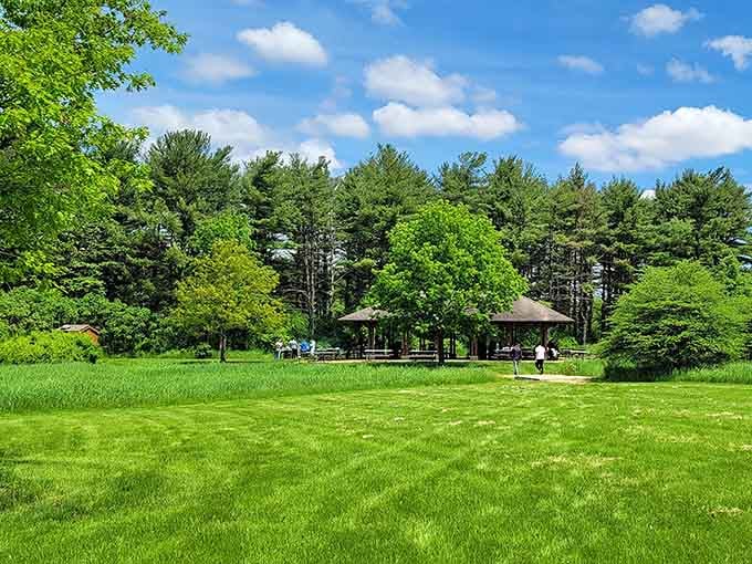 This is what paradise looks like when it's hiding in your own backyard, complete with shelters and endless green.
