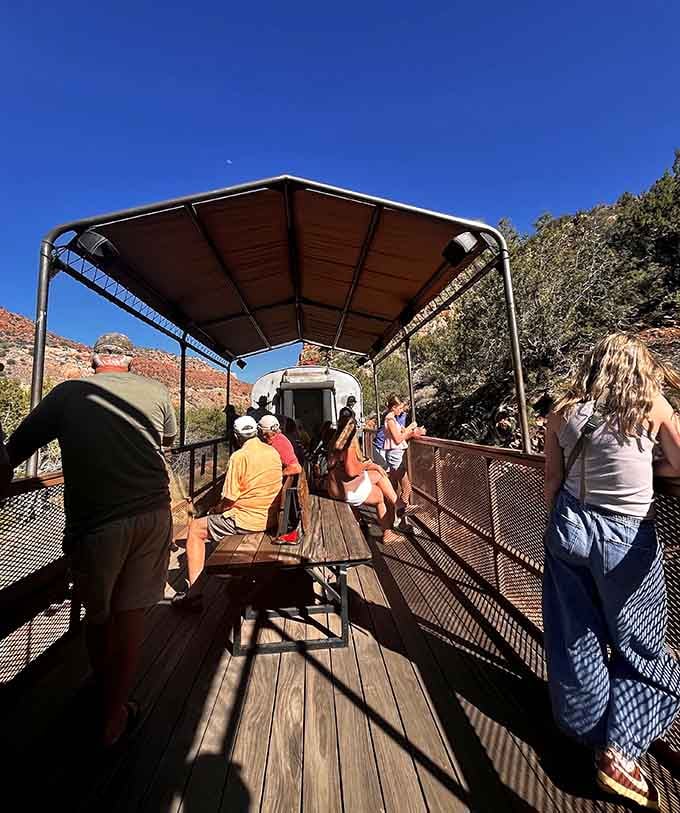 The open-air cars offer front-row seats to Mother Nature's greatest show, no ticket scalpers required.