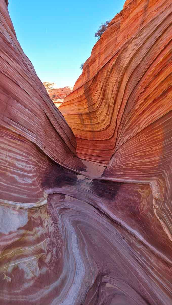 Slot canyons like this prove that nature's been doing abstract art way longer than any gallery downtown.