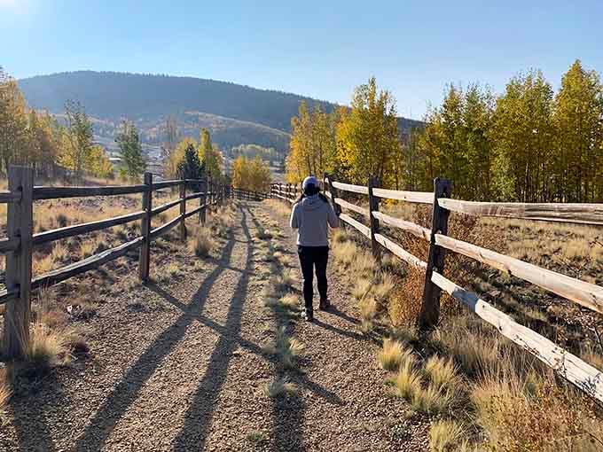 The Vindicator Valley Trail beckons hikers into golden aspen groves where miners once trudged with considerably less enthusiasm for cardio.