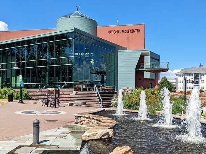 The National Eagle Center proves that learning about majestic birds and fountain-watching make excellent companions.