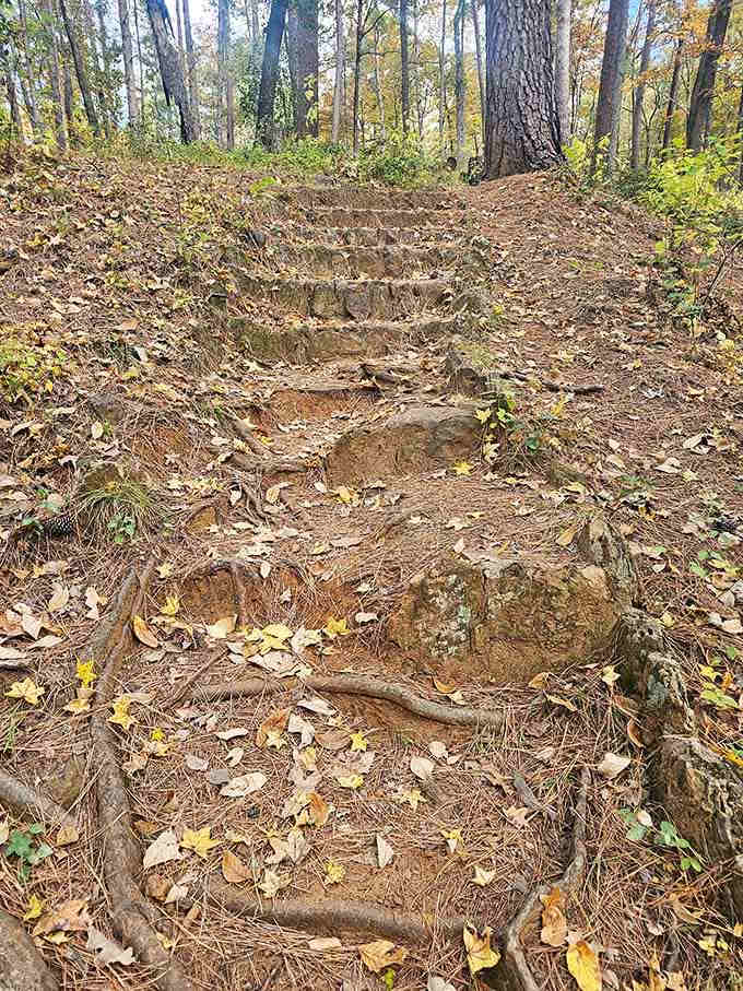 These natural stone steps prove that even Mother Nature believes in taking things one step at a time.
