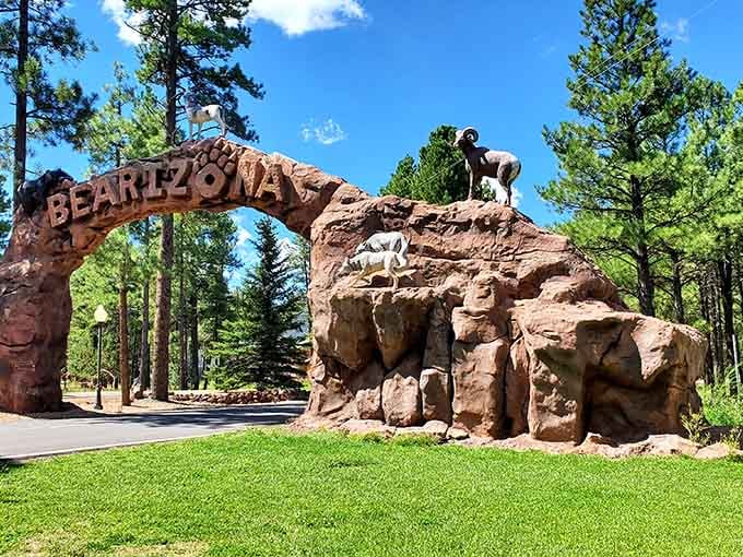Bearizona's entrance promises wildlife encounters without the terrifying possibility of becoming someone's lunch. Smart planning, really.