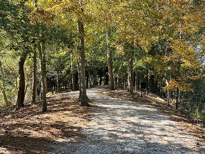 These tree-lined trails offer shade, serenity, and the kind of peace you can't download.
