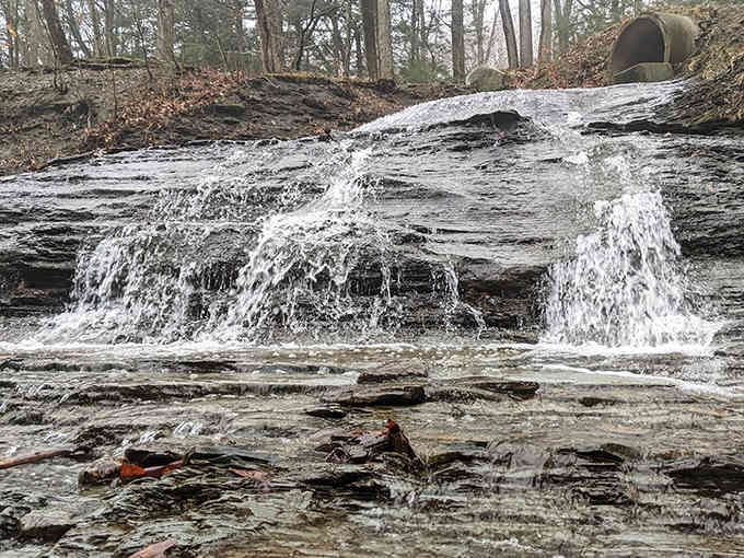These layered rock formations have been here longer than anyone's complained about Pennsylvania weather, and that's saying something.