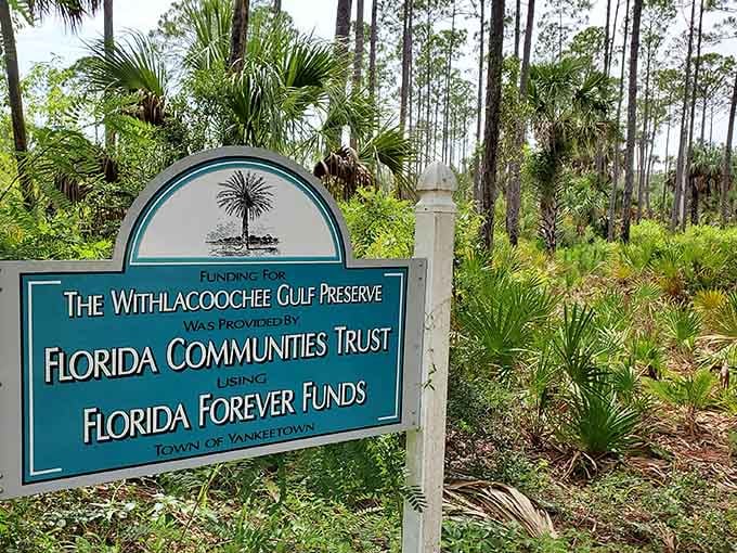 The Withlacoochee Gulf Preserve protects what developers can't improve: absolutely nothing about this perfection.