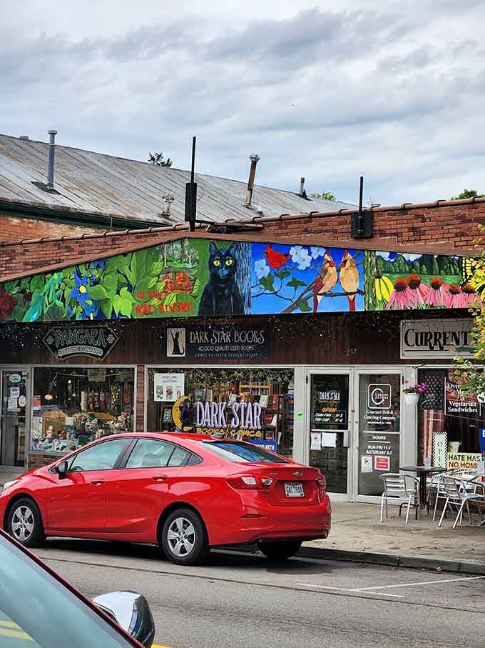 Even the storefronts wear their creativity like badges of honor, turning ordinary buildings into walking canvases.