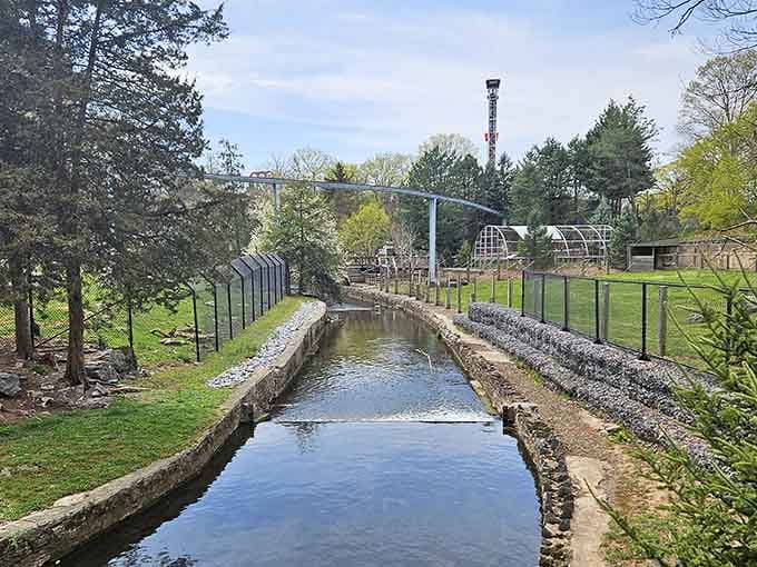 Peaceful waterways wind through the park, creating natural habitats that feel worlds away from chocolate factories.