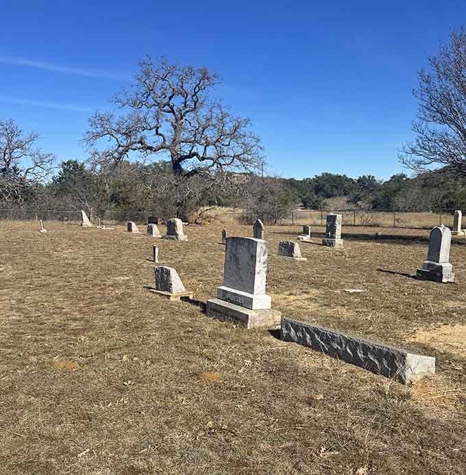 That gnarly oak tree spreads its twisted branches over scattered headstones like nature's own cathedral in the Hill Country.