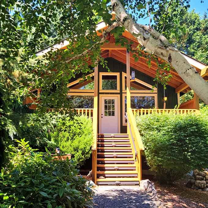 Sunlight filters through aspens onto this cheerful cabin, where modern comfort meets forest serenity in perfect harmony.