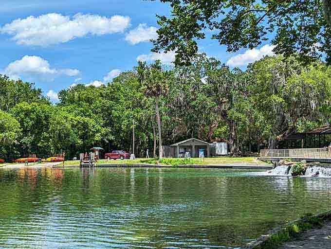 Crystal-clear spring water bubbles up constantly, creating nature's perfect swimming hole surrounded by towering oaks and peaceful trails.