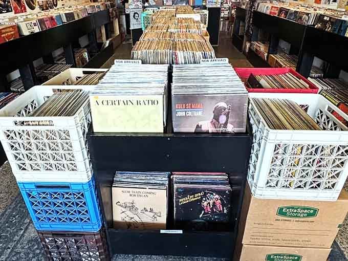 Rows of records stretching toward infinity, organized perfectly so you can find that Herbie Hancock gem you've been seeking.