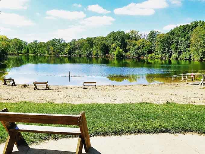 A sandy beach framed by trees and benches waiting for your picnic basket&mdash;summer perfection in three dimensions.