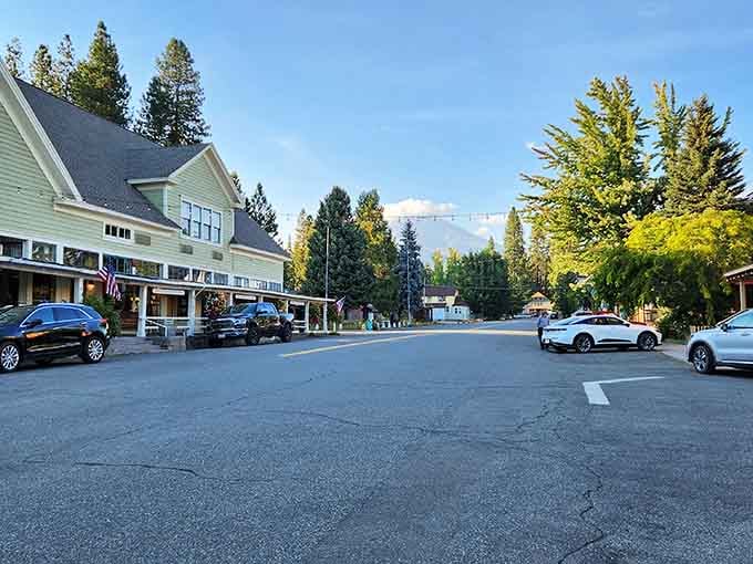 Pine trees tower over quiet streets where nature and small-town life blend seamlessly together.