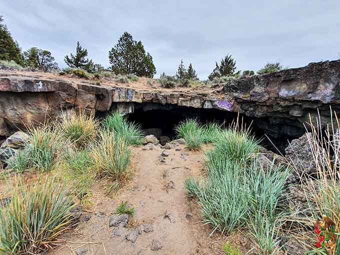 From above, this collapsed lava tube looks like the earth opened up to reveal its secrets below.