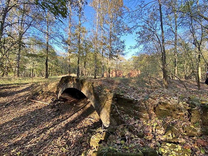 Stone archways crumble into the forest floor, nature's patient reclamation project slowly erasing what humans once built here.