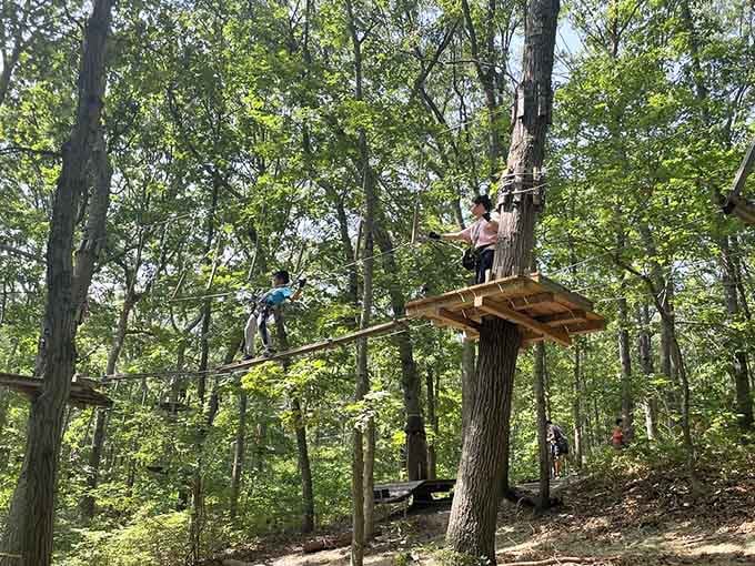 Navigating wooden platforms high in the treetops takes courage, but the thrill is absolutely worth it.