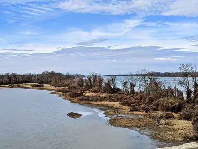 Where fresh water kisses salt water, the estuary creates a shoreline that's equal parts rugged beauty and serene contemplation.