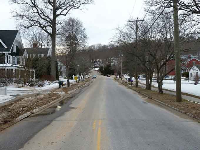 Tree-lined streets in winter show the quiet beauty of a neighborhood where life moves at a gentler pace.