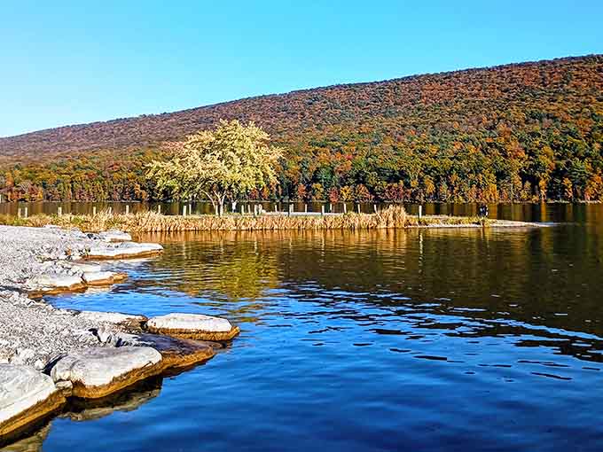 Golden hour light transforms this rocky shoreline into something Bob Ross would've loved painting on a lazy afternoon.