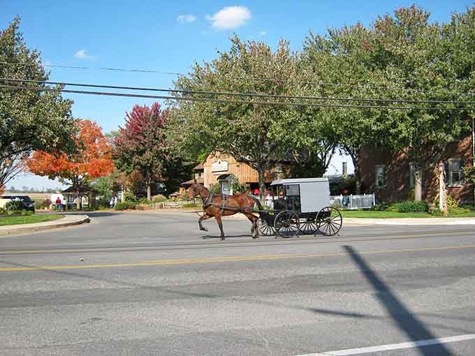 Autumn trees paint the street in warm colors as horse and carriage clip-clop through town like clockwork.