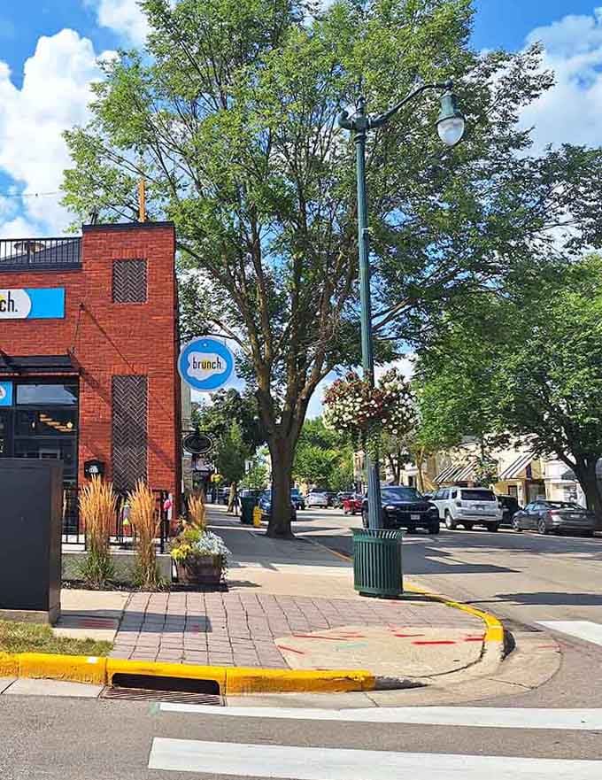 Mature trees shade sidewalks where brunch spots beckon with promises of lazy weekend mornings done right.