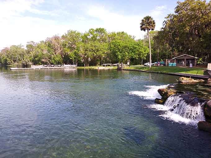 Watch the gentle waterfall spill over rocks while turtles glide by &ndash; this is Old Florida at its finest.