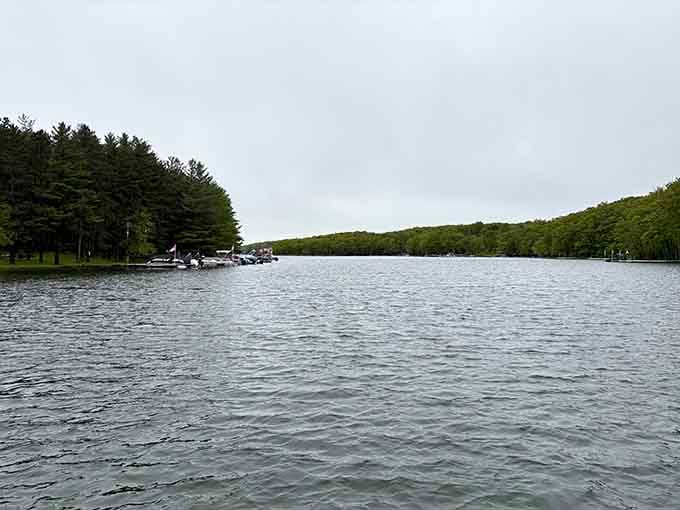 Boats dot the shoreline where forest meets water, offering quiet proof that paradise doesn't require a plane ticket.