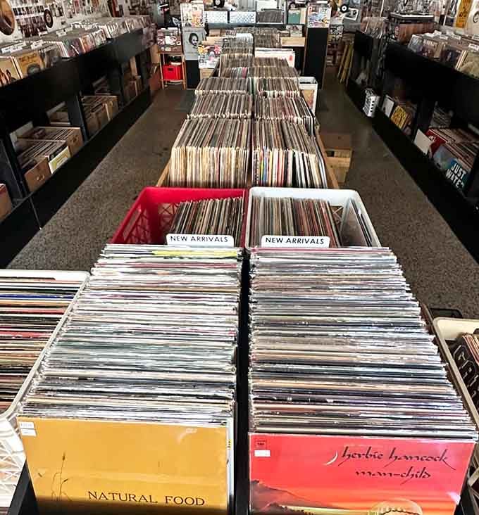 New arrivals beckoning from their bins like old friends you haven't met yet – the thrill never gets old.