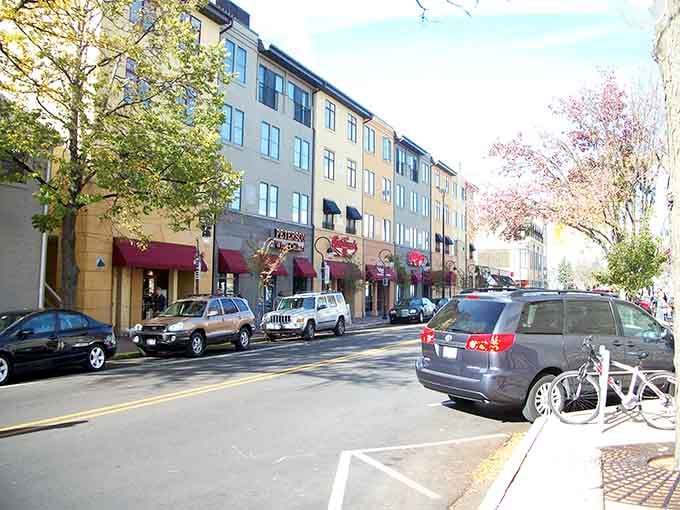 Modern storefronts blend seamlessly with tree-lined streets in this welcoming community that balances progress with charm.