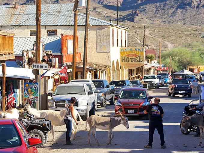 When burros have the right-of-way, you know you've found somewhere genuinely special and wonderfully weird.